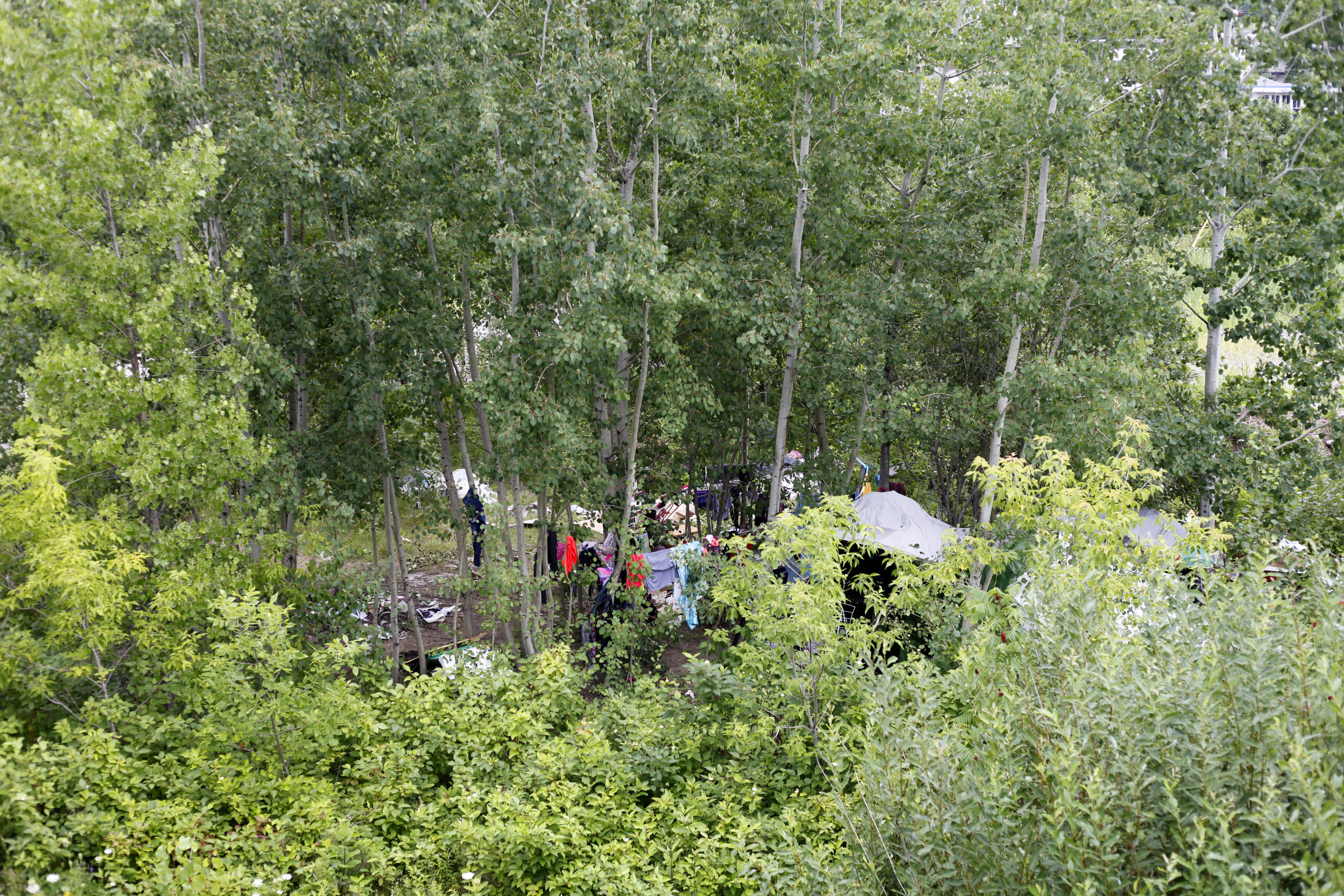 Homeless Tent Encampments In Ward 8 Hamilton - Councillor John-Paul Danko