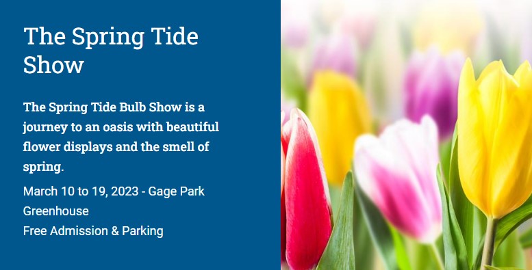 Annual Spring Tide Bulb Show kicks off this weekend - Councillor John ...